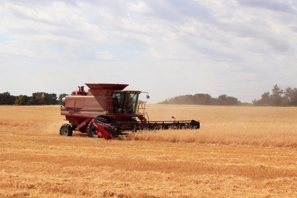 Keeping up with Year Round Oats: Food Navigator Interview