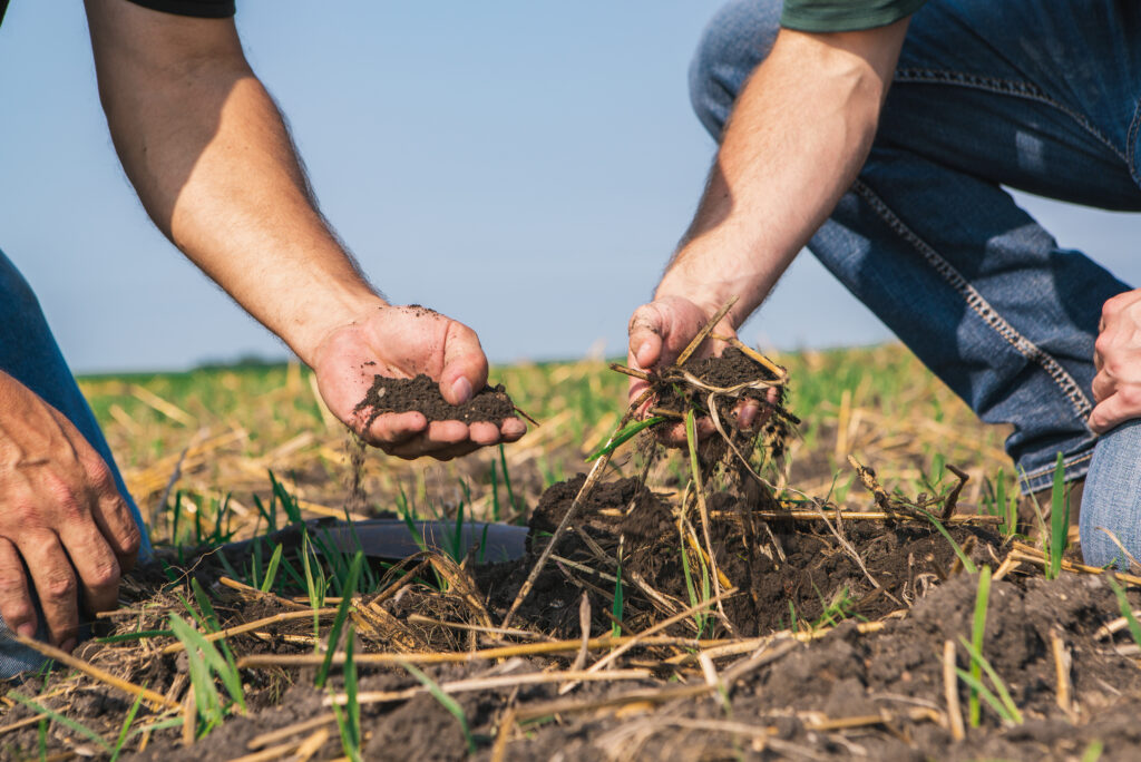 How to Plan a Regenerative Summer - Grain Millers