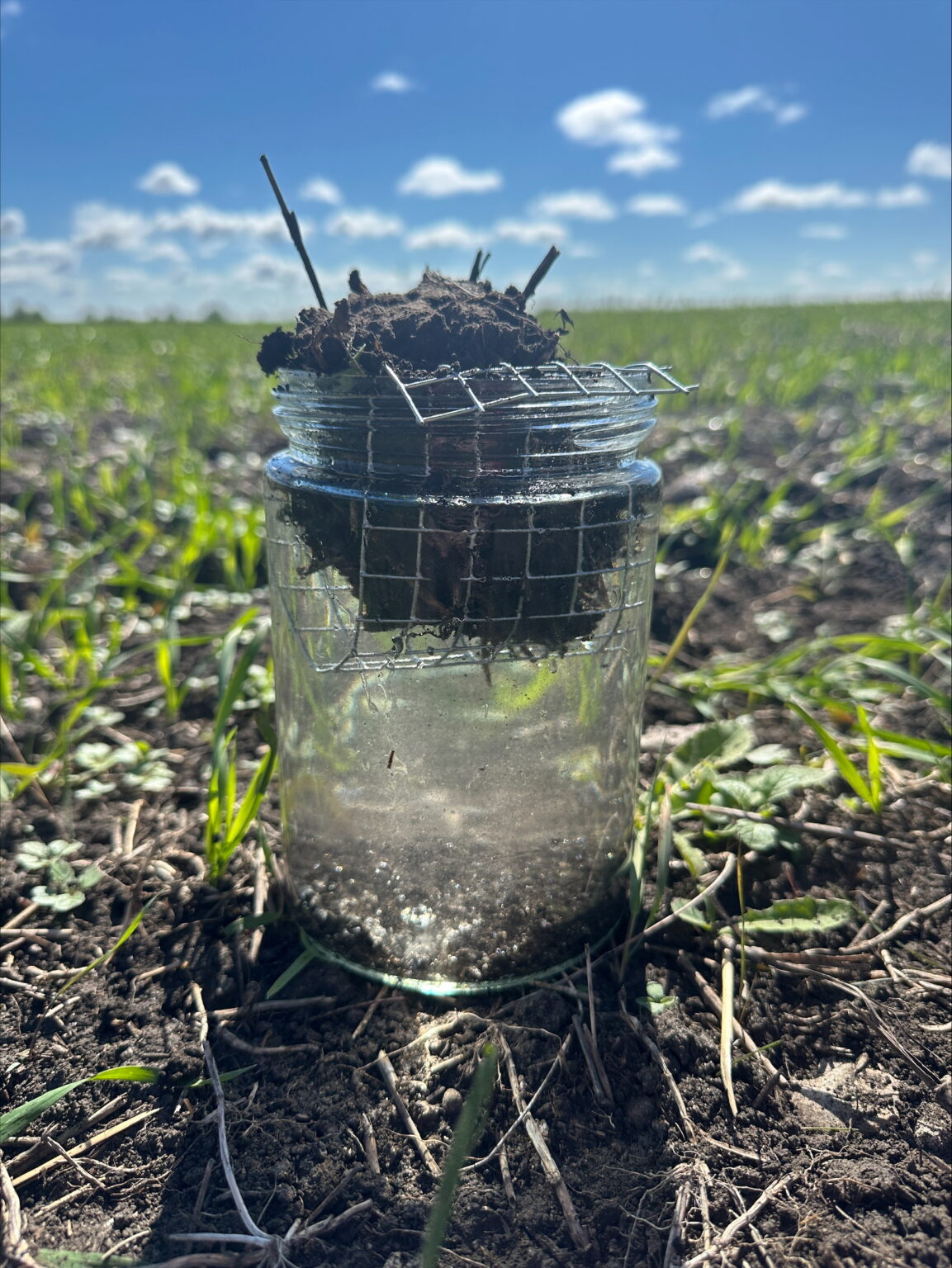 At-Home Soil Health Evaluation - Grain Millers