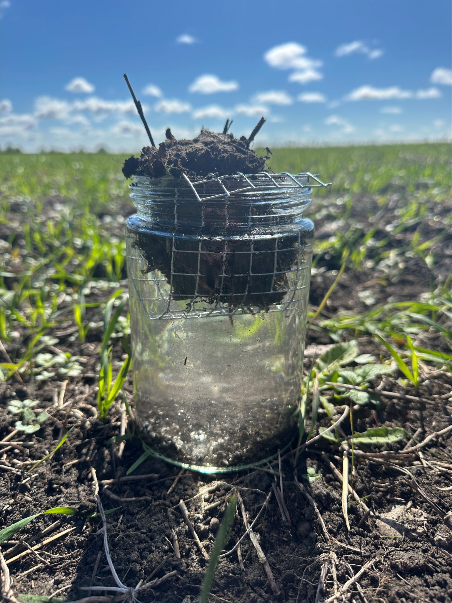 At-Home Soil Health Evaluation - Grain Millers